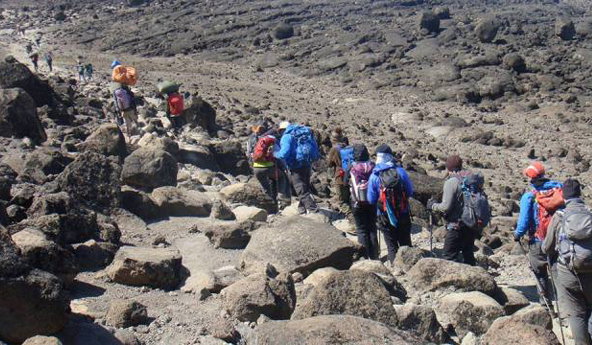 African Trek & Travel: Tanzania Vacation Safari Package | Kilimanjaro ...