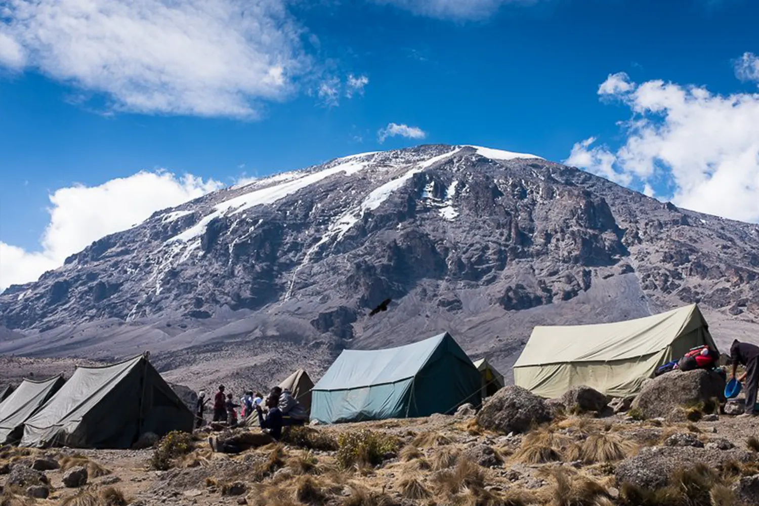 African Trek & Travel: Tanzania Vacation Safari Package | Kilimanjaro ...